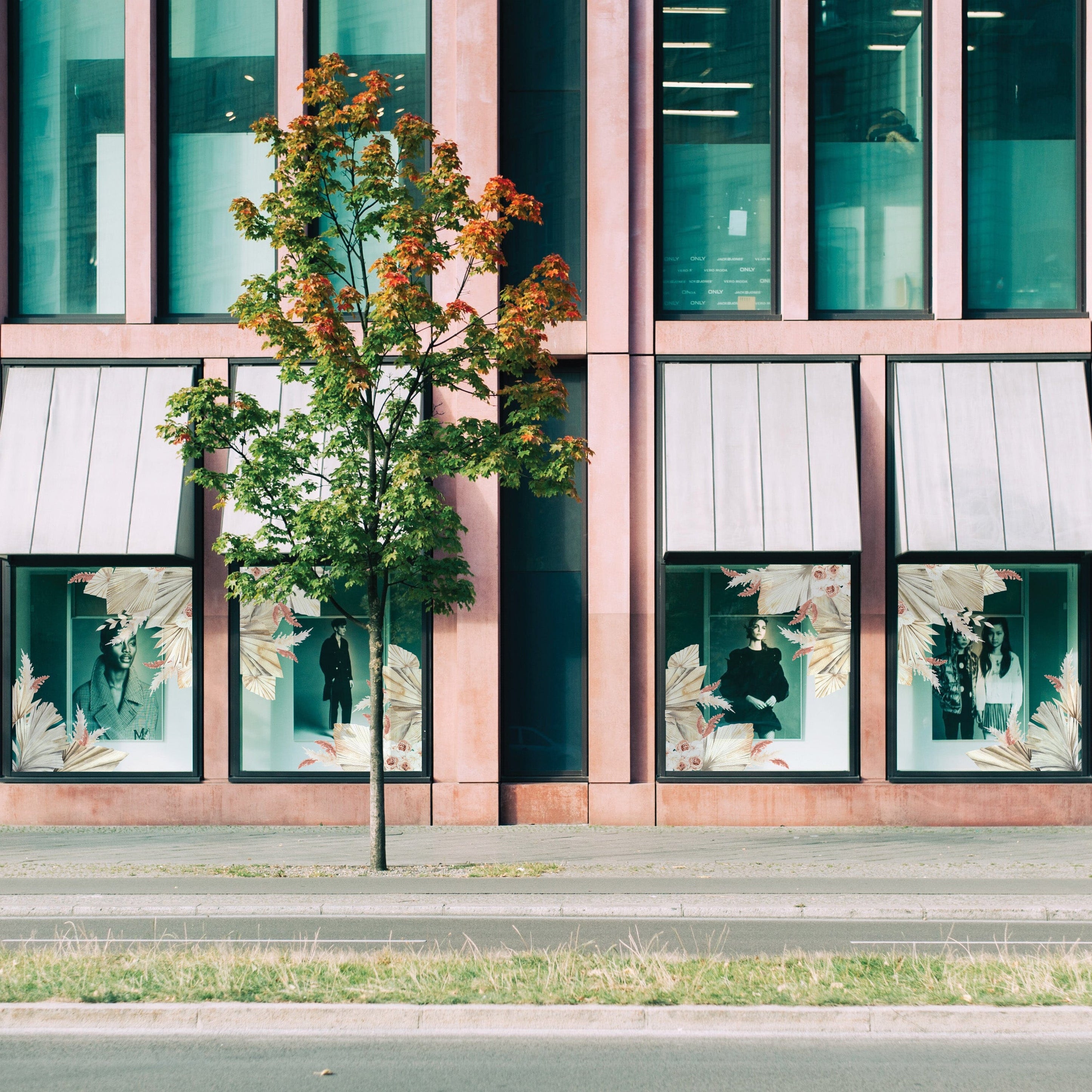 Bohemian Palm Window Decals – Urbanwalls