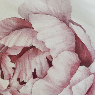 Blushing Peonies Wall Decals | Urbanwalls